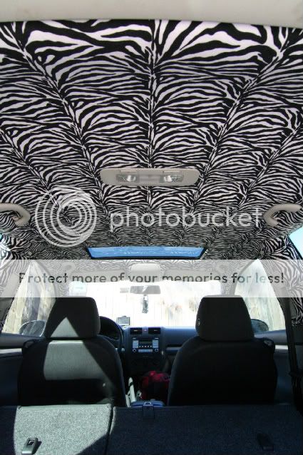 zebra stripe interior | VW Vortex - Volkswagen Forum
