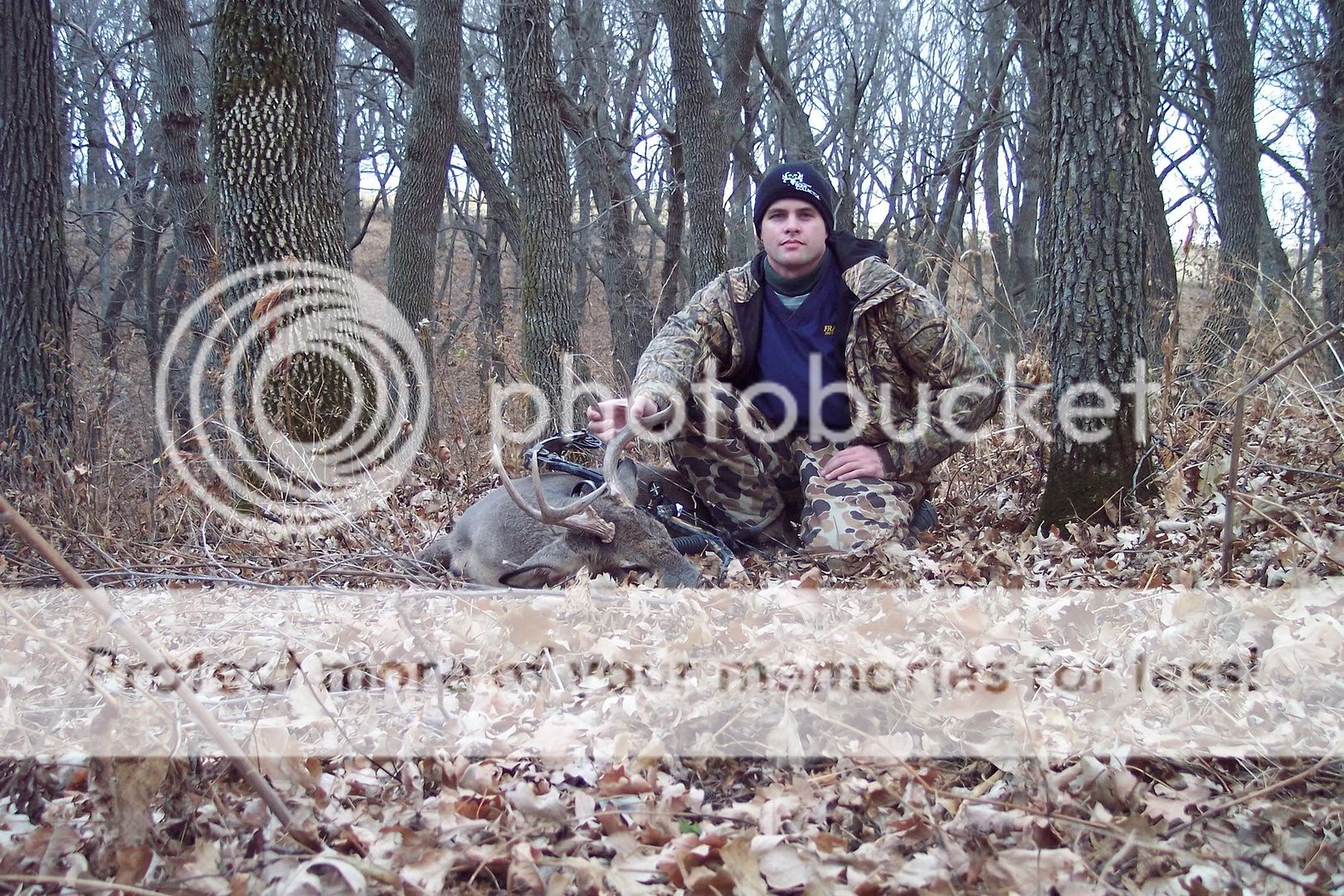 expandables vs fixed - 24hourcampfire