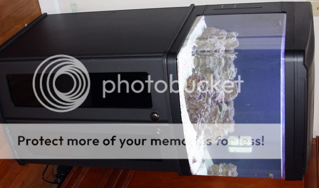 BioCube 29 W/stand COMPLETE | Reef2Reef