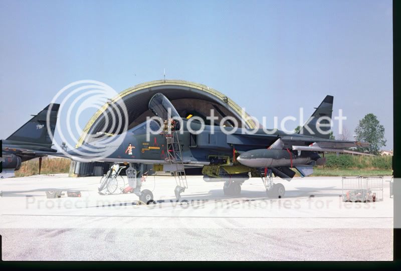 French Jaguar - FighterControl