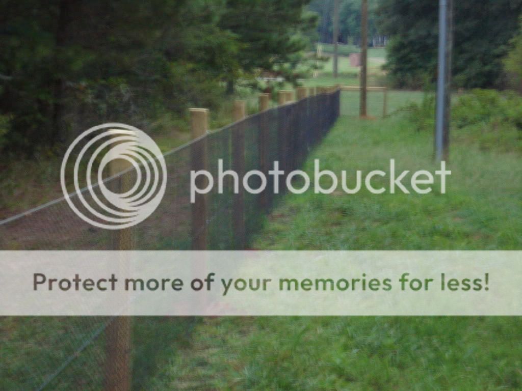 Running Pen finally finished with pics - The American Beagler Forum