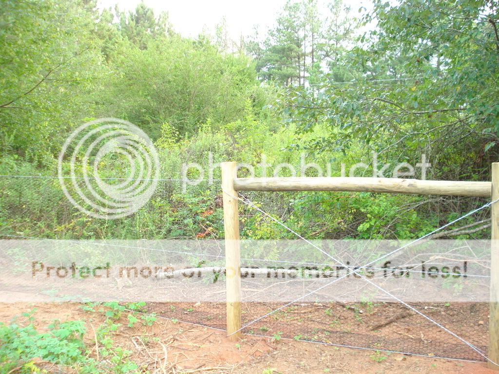 Running Pen finally finished with pics - The American Beagler Forum