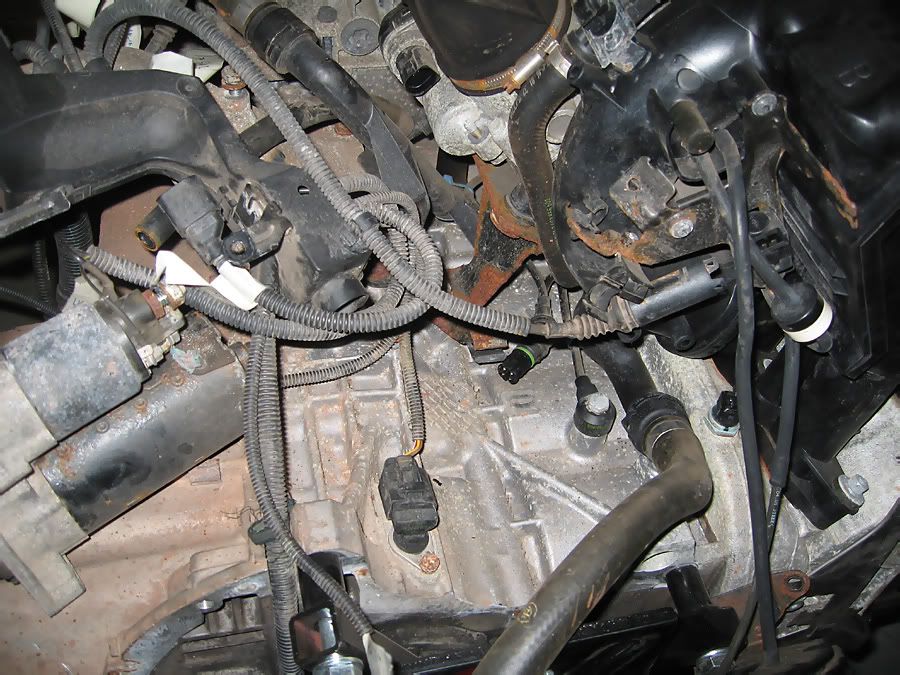 Naturally Aspirated M54B30 Engine Build | E46 Fanatics Forum