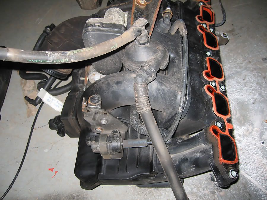 Naturally Aspirated M54B30 Engine Build | E46 Fanatics Forum