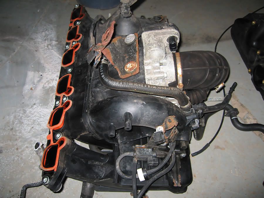 Naturally Aspirated M54B30 Engine Build | E46 Fanatics Forum