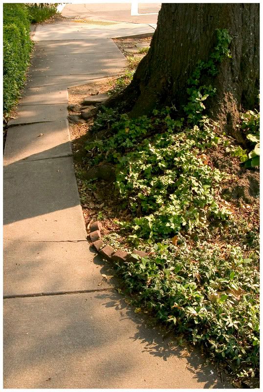 Virginia Highlands (ATL) - City Photos - USA/World - UrbanOhio.com