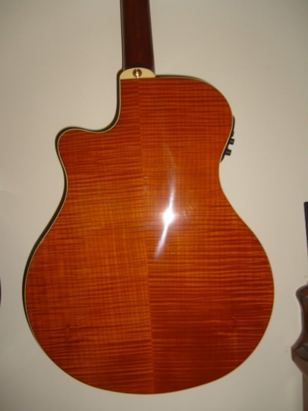 Sycamore - Acoustic Guitars - Harmony Central