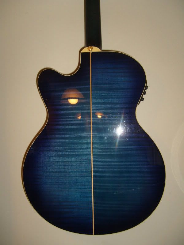 Sycamore - Acoustic Guitars - Harmony Central