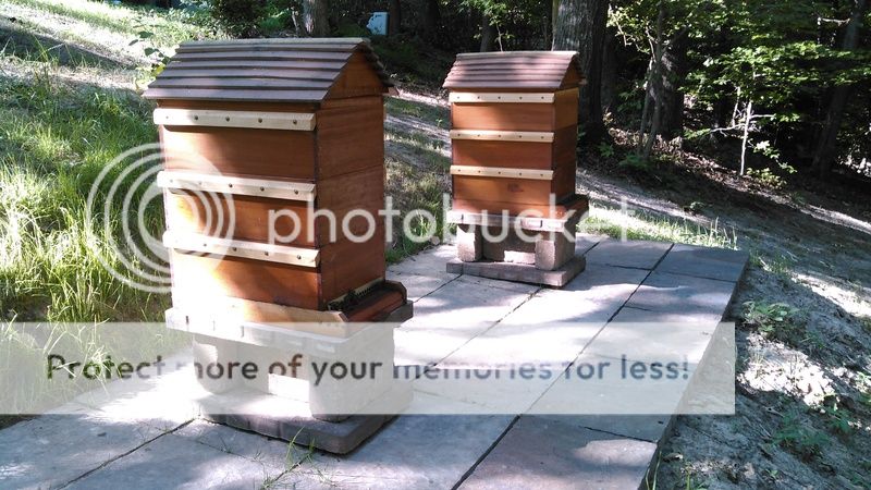 Regular Checkerboarding vs Block Checkerboarding | Beesource Beekeeping ...