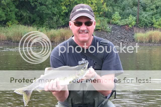 Pink salmon run. | Michigan Sportsman - Online Michigan Hunting and ...