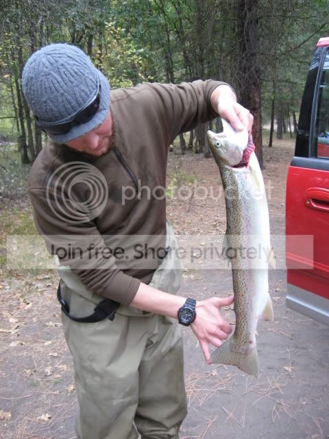 Steelhead and a G *pic* | WatchUSeek Watch Forums