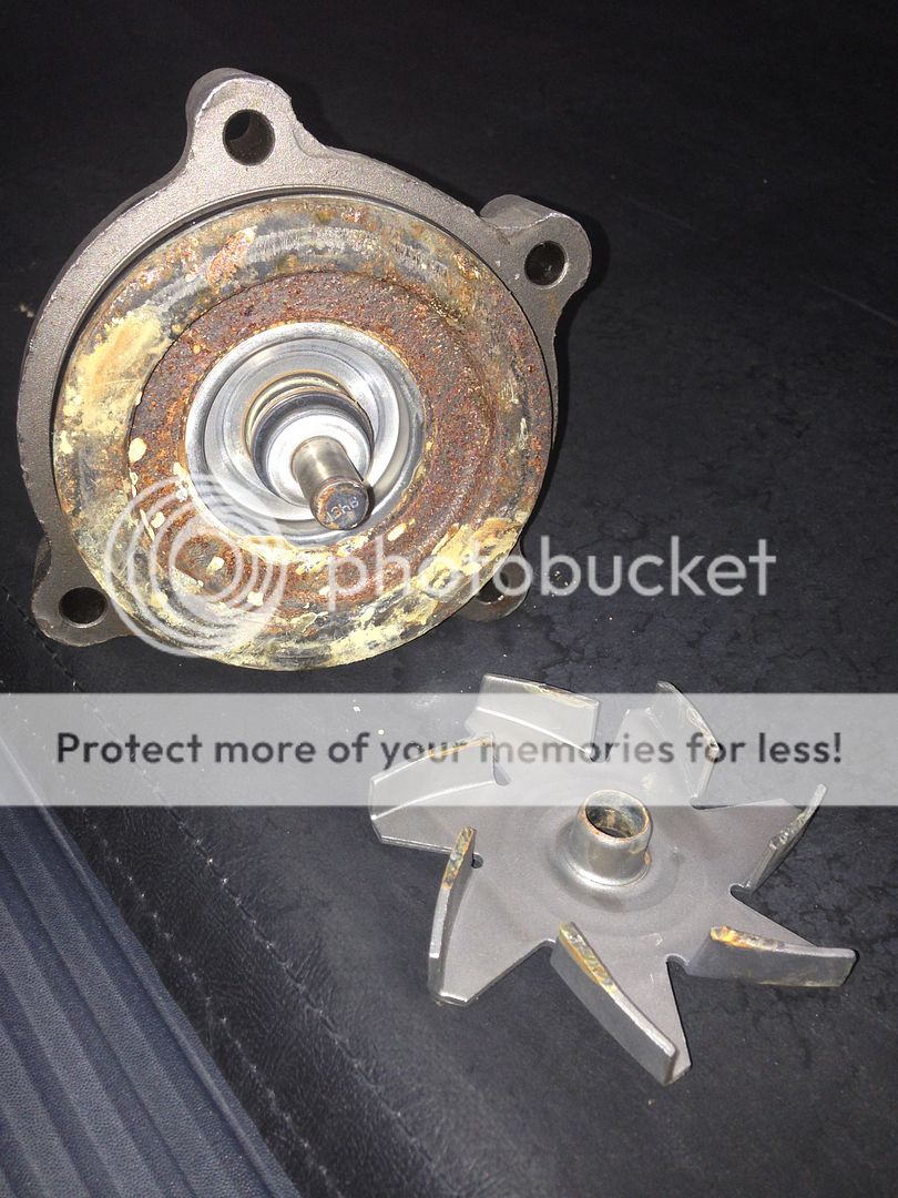 P1285 and P1299 | Lightning Rodder