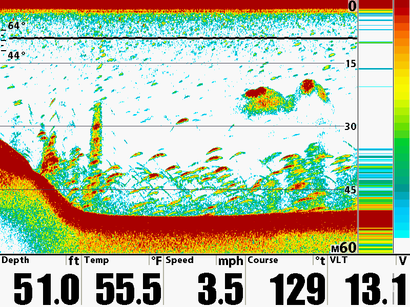 Humminbird Switchfire 2D Max Mode Screen Captures